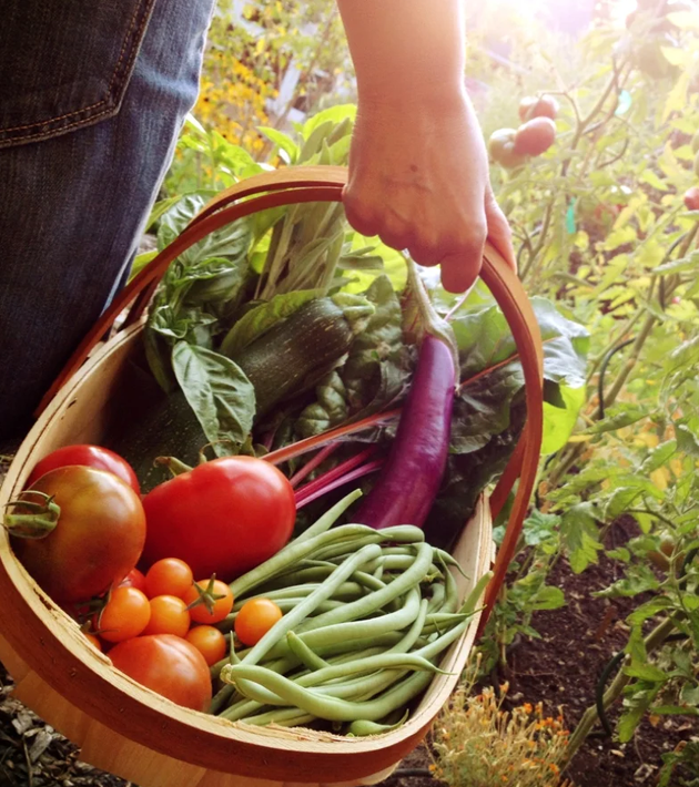 Ecospan - Fertilizer manufacturing company in West Bengal | Premium ...